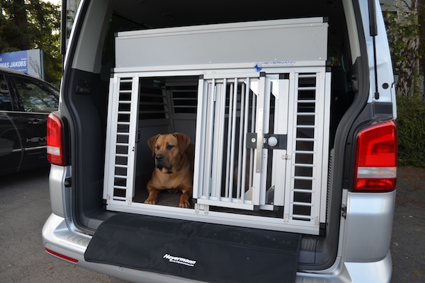 Sicherer Hundetransport im Auto mit stabiler Aluminium Hundebox