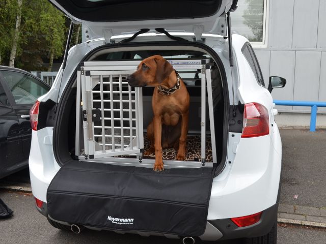 Hundebox Ford Kuga