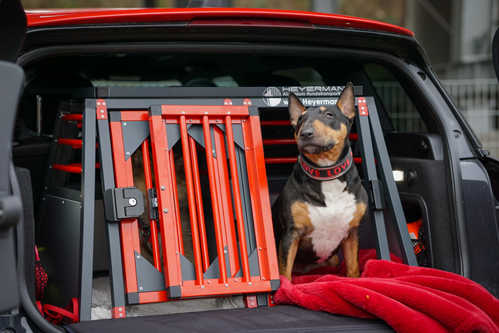 Sicherer Hundetransport im Auto mit stabiler Aluminium Hundebox